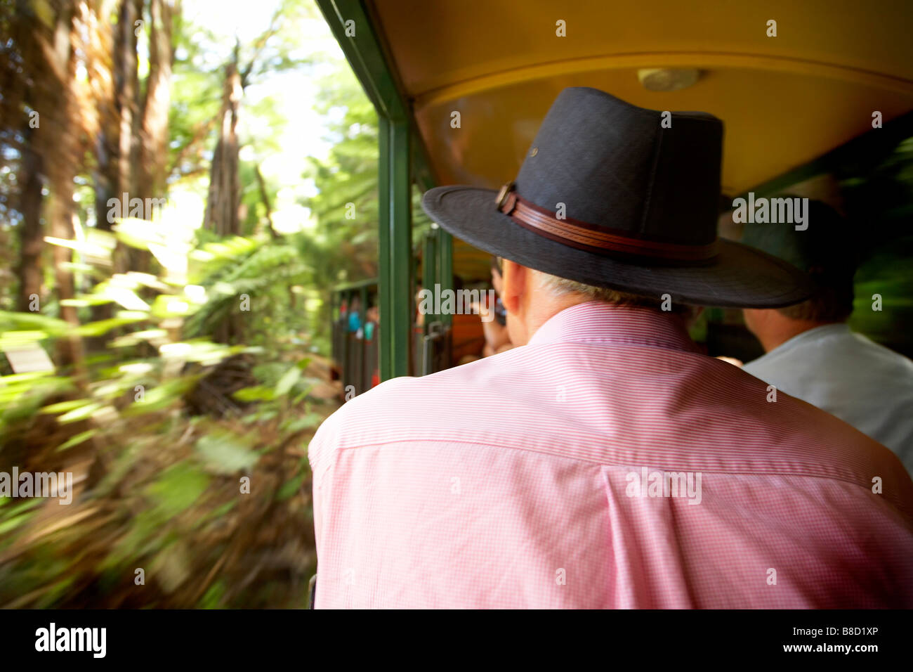 man in train carriage at driving creek railway coromandel town new ...