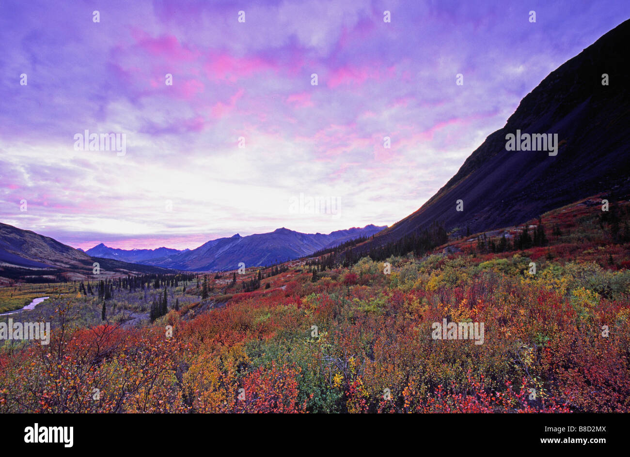 Canol Road High Resolution Stock Photography and Images - Alamy