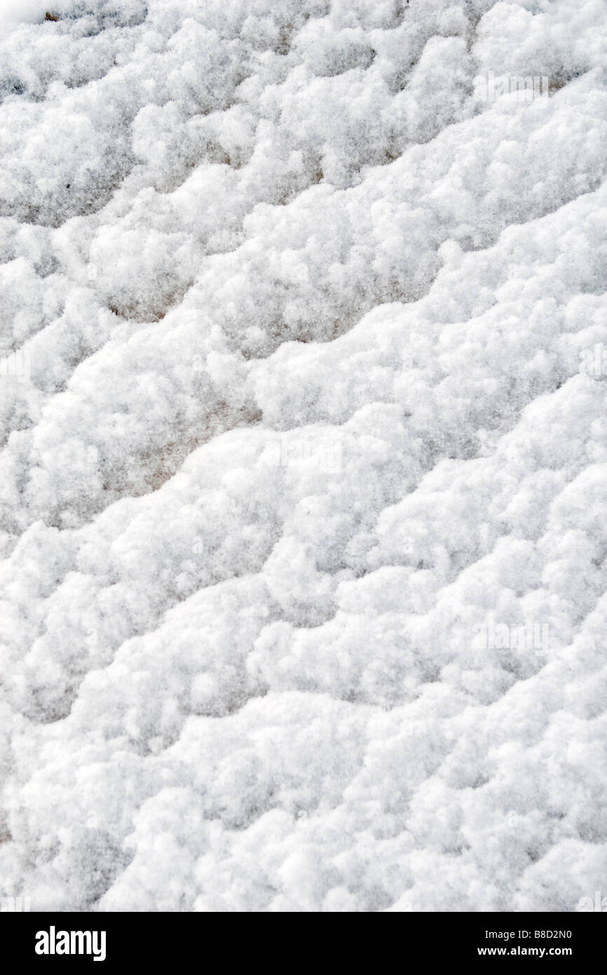 Snow pattern formed on tree cut after snowfall Stock Photo - Alamy