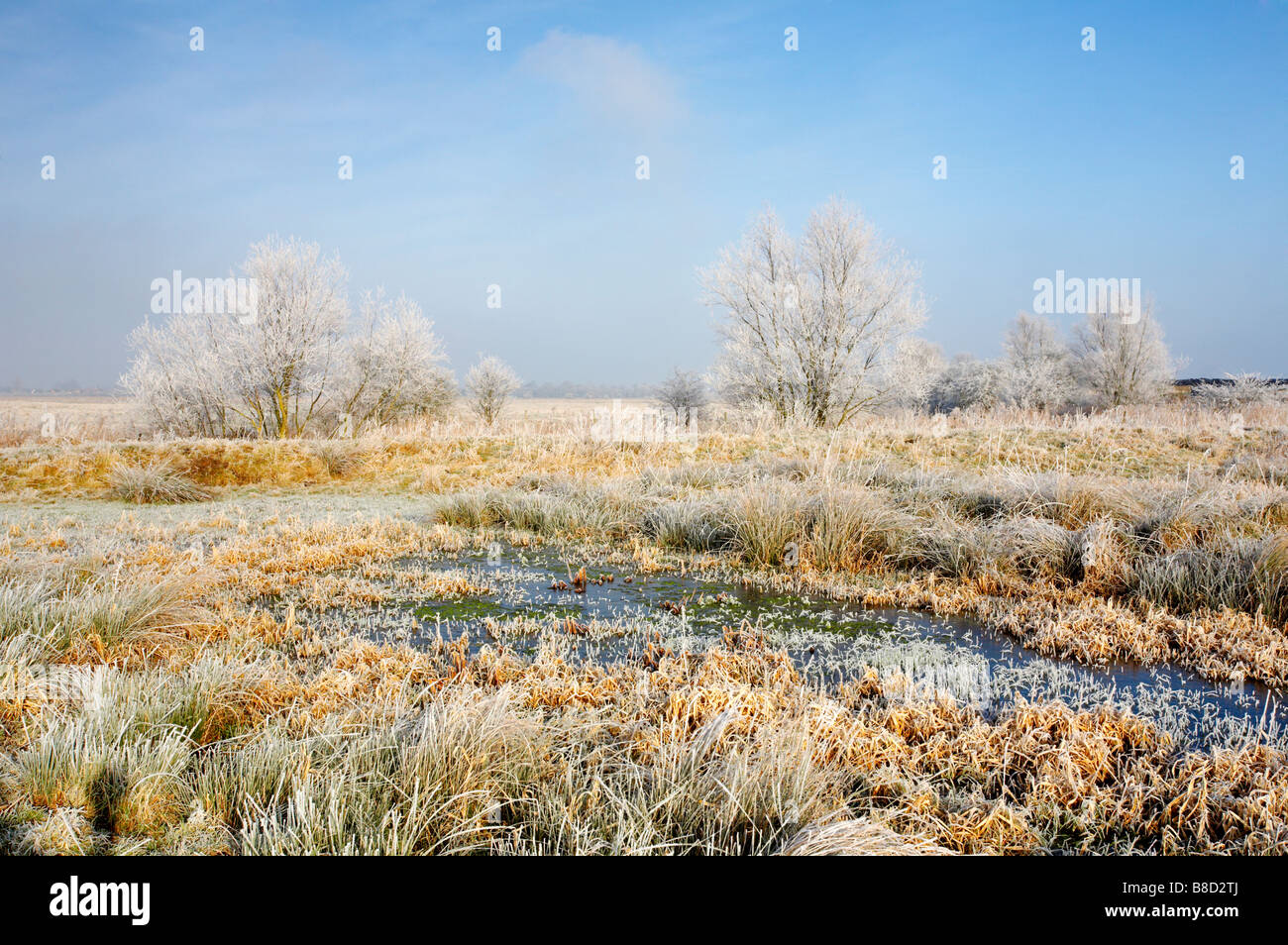 Frozen hoar frosted marsh land by St Benet's Abbey on the Norfolk ...