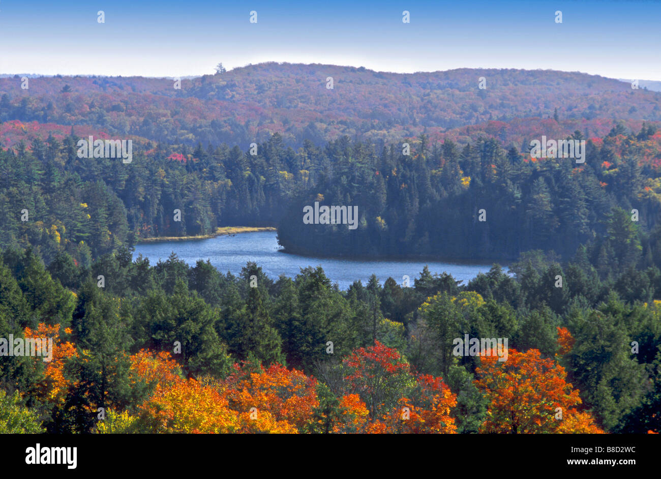Isolated algonquin hi-res stock photography and images - Alamy