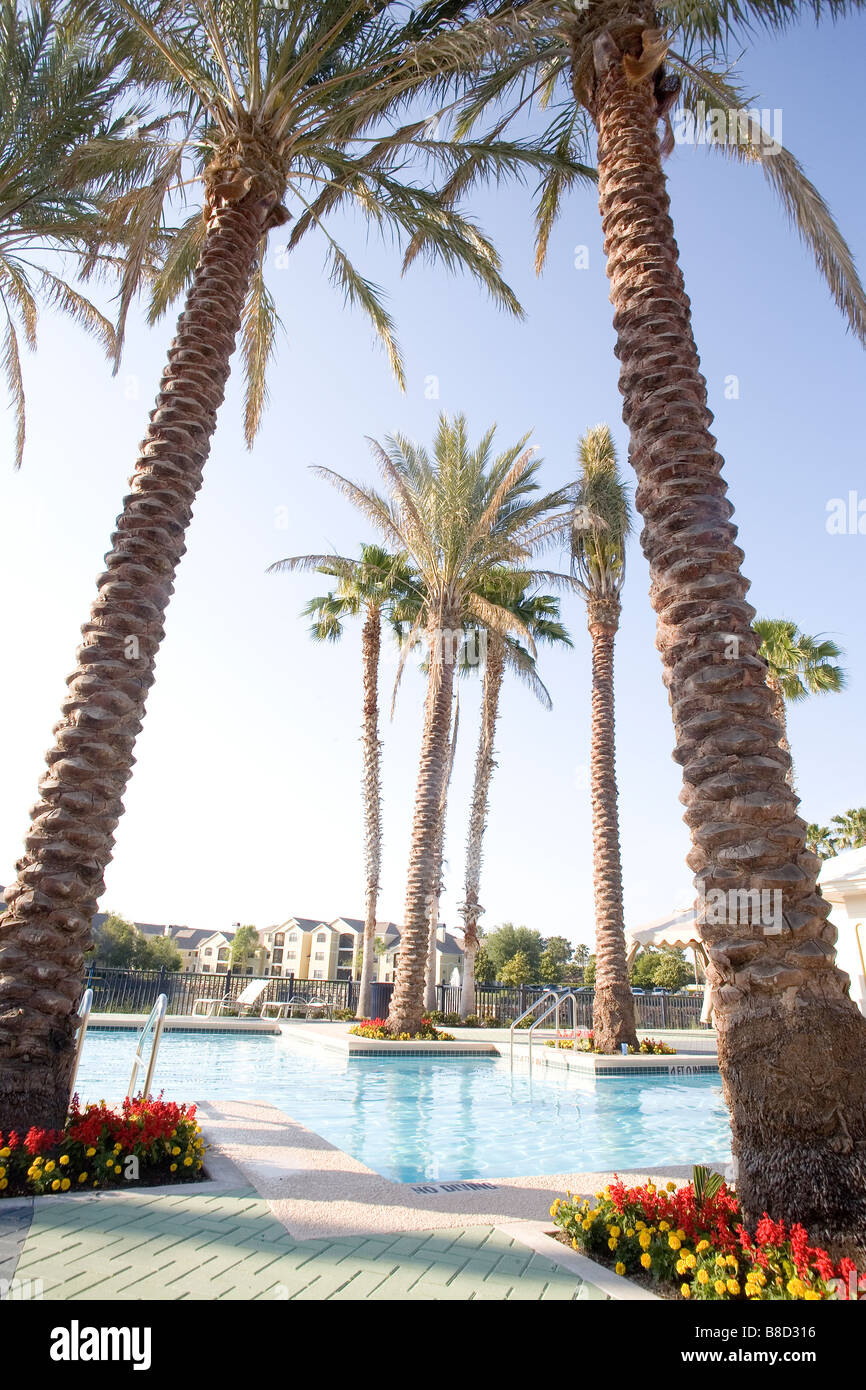 Swimming pool surrounded by palms hi-res stock photography and images ...