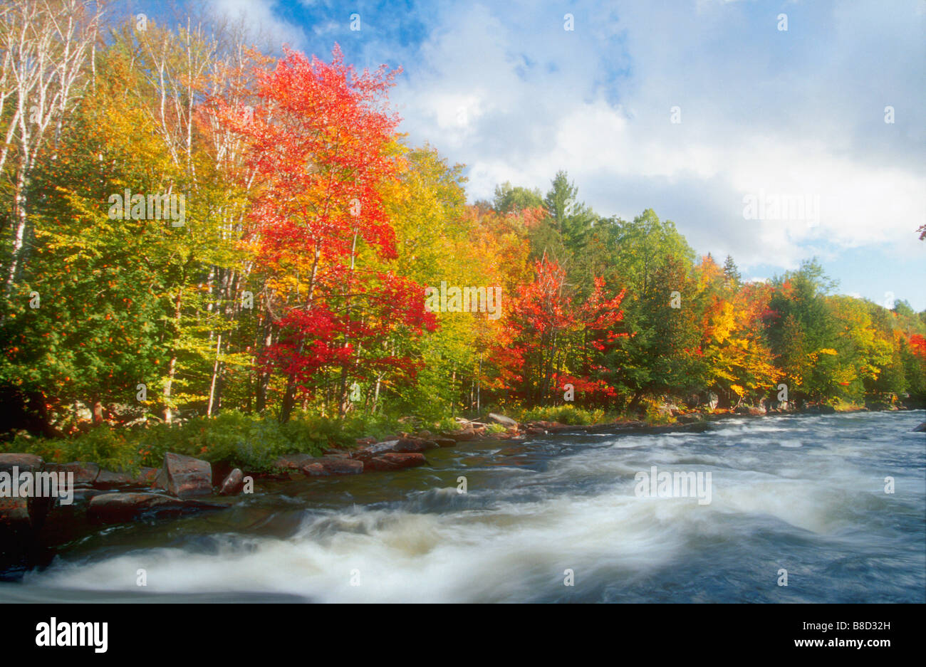 Oxtongue River Provincial Park, Dwight,Ontario Stock Photo - Alamy