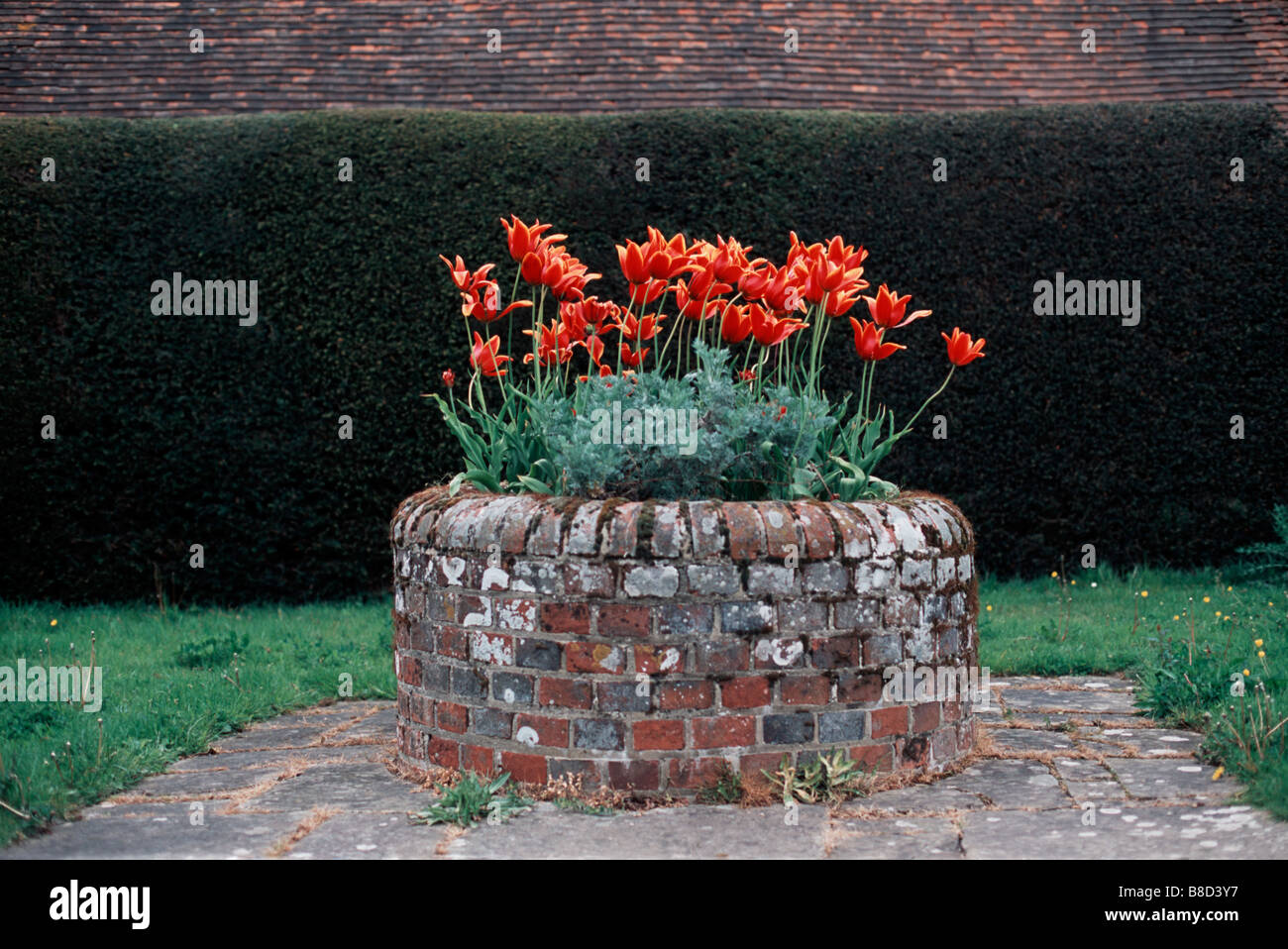 Grow well in container hi-res stock photography and images - Alamy