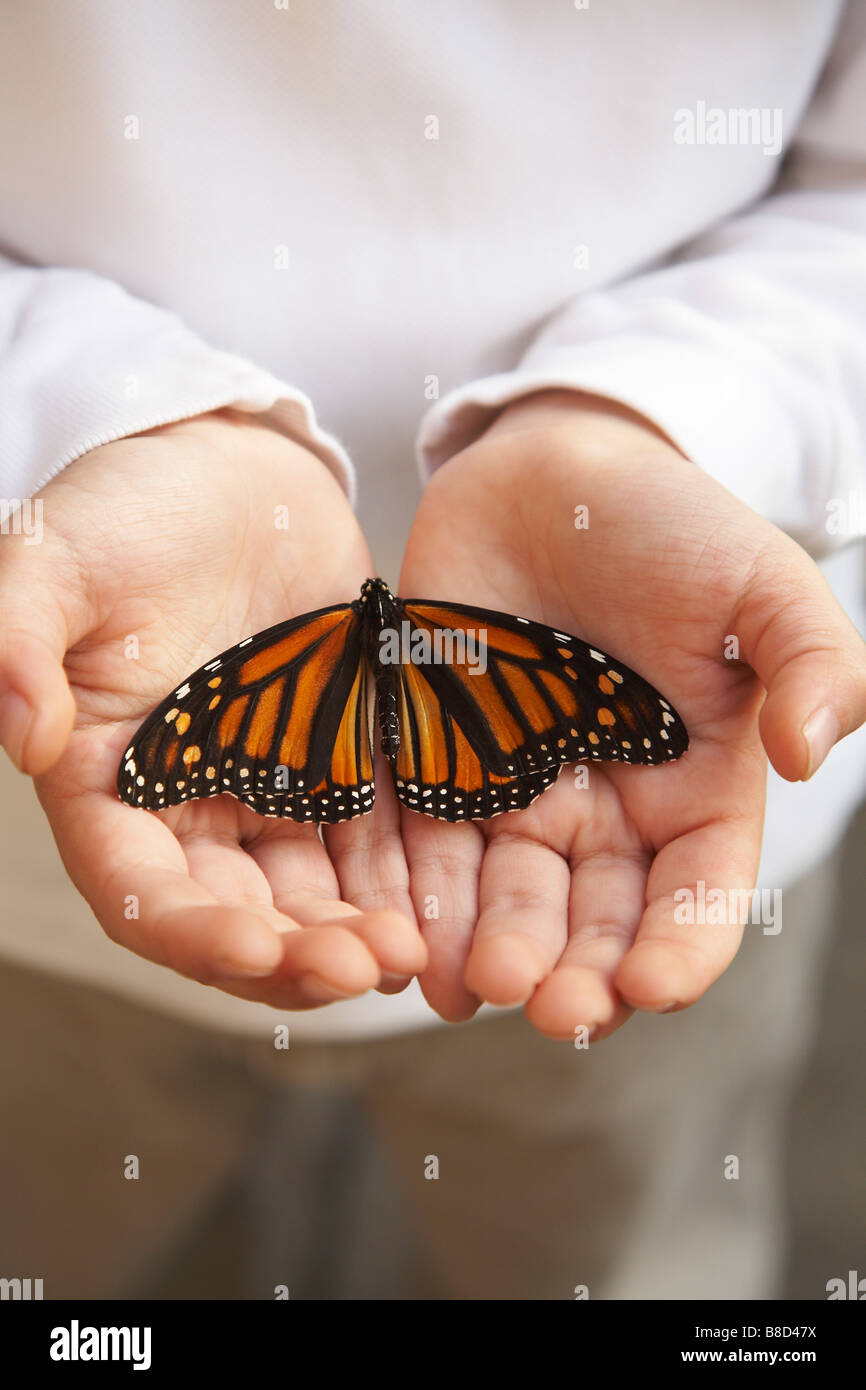 Child holding Monarch Butterfly Stock Photo - Alamy