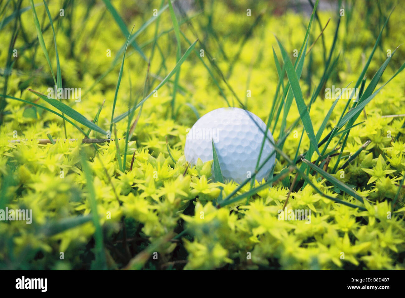 Ball of flowers hi-res stock photography and images - Alamy