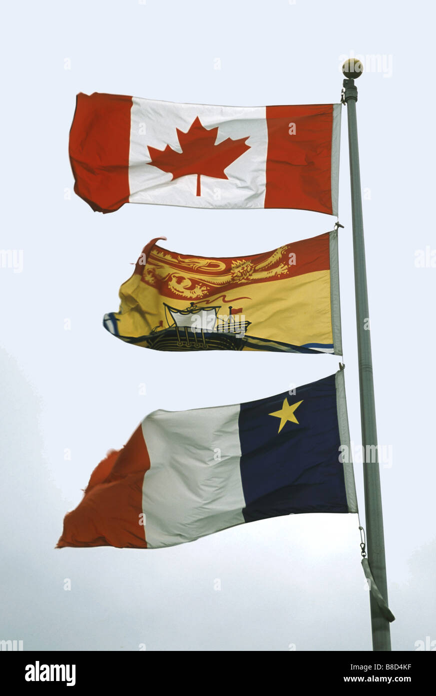 Canadian, New Brunswick Acadian Flags Stock Photo - Alamy