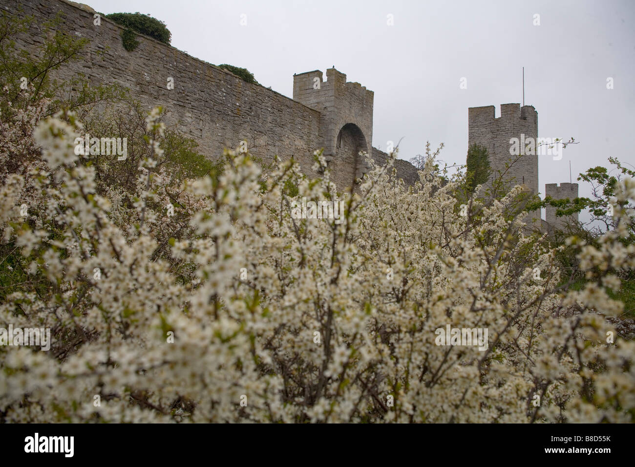 Visby, the main town in Gotland island, Sweden, Baltic Sea Stock Photo ...