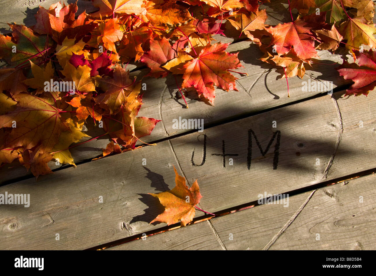 Fall Leaves around Engraving Wood Stock Photo - Alamy