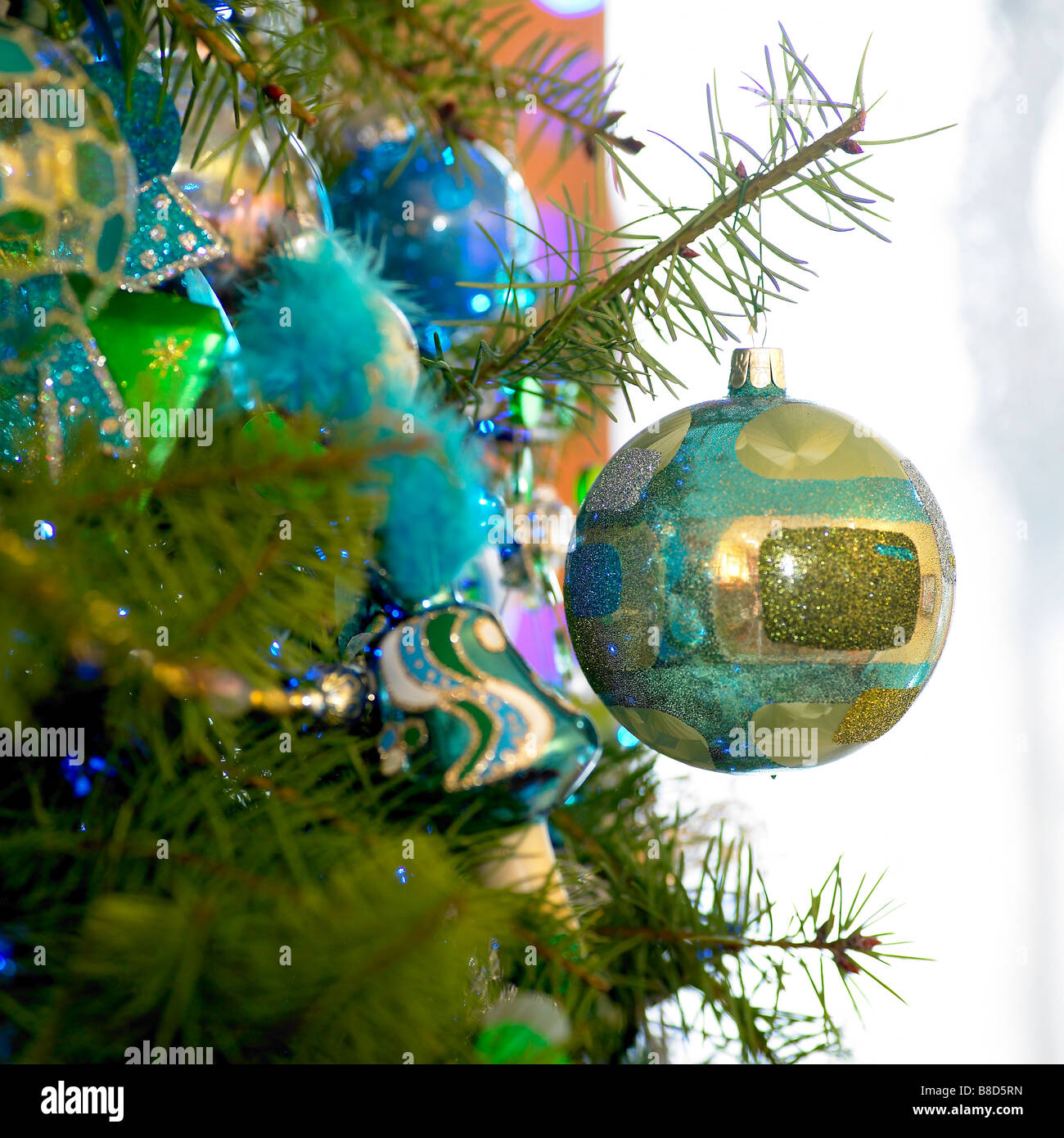 The hanging tree hi-res stock photography and images - Alamy