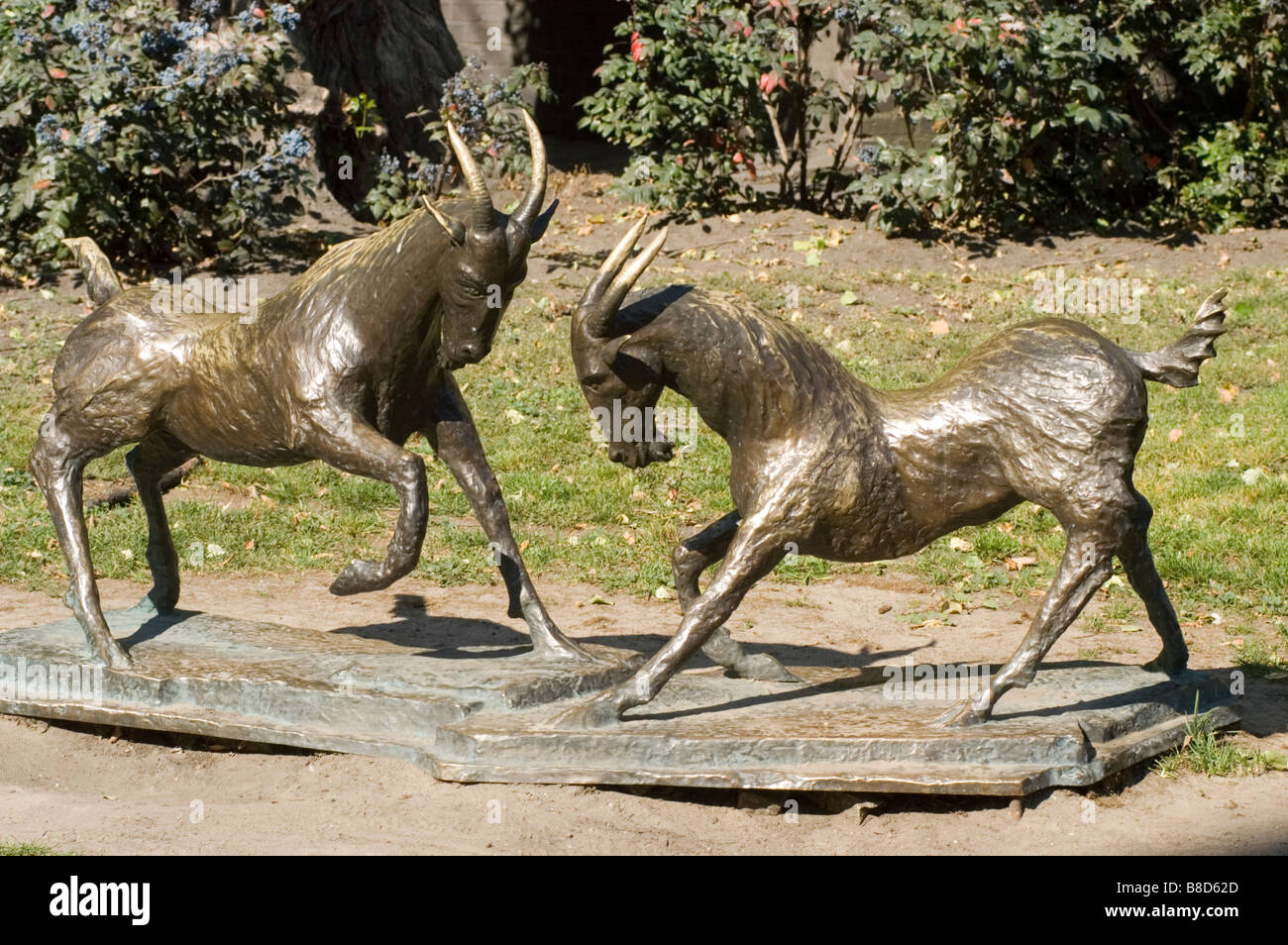 Metal sculpture of a pair of goats, the famous symbol of Poznan, Poland ...