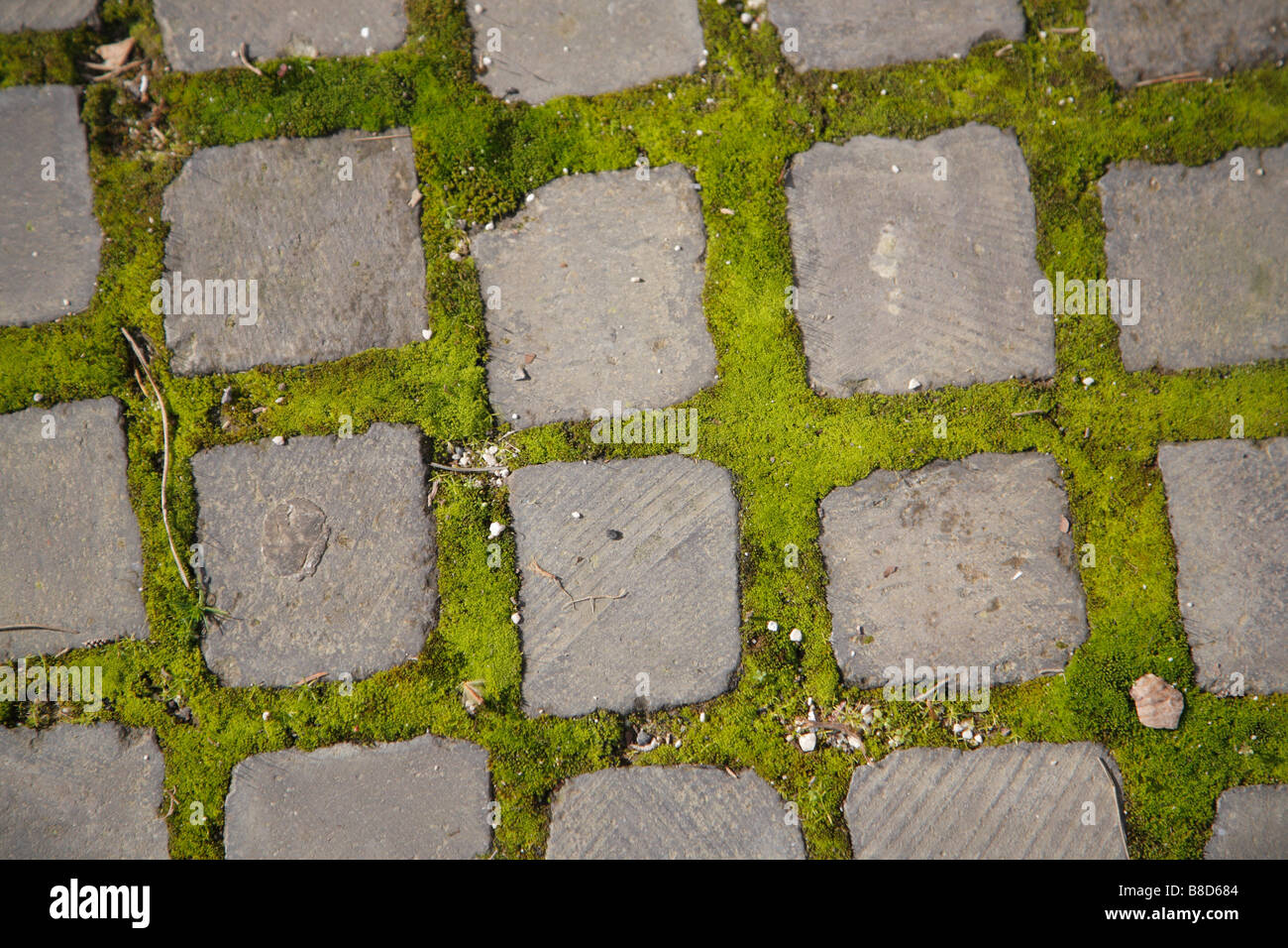Cobblestone road, Rome, Italy Stock Photo - Alamy