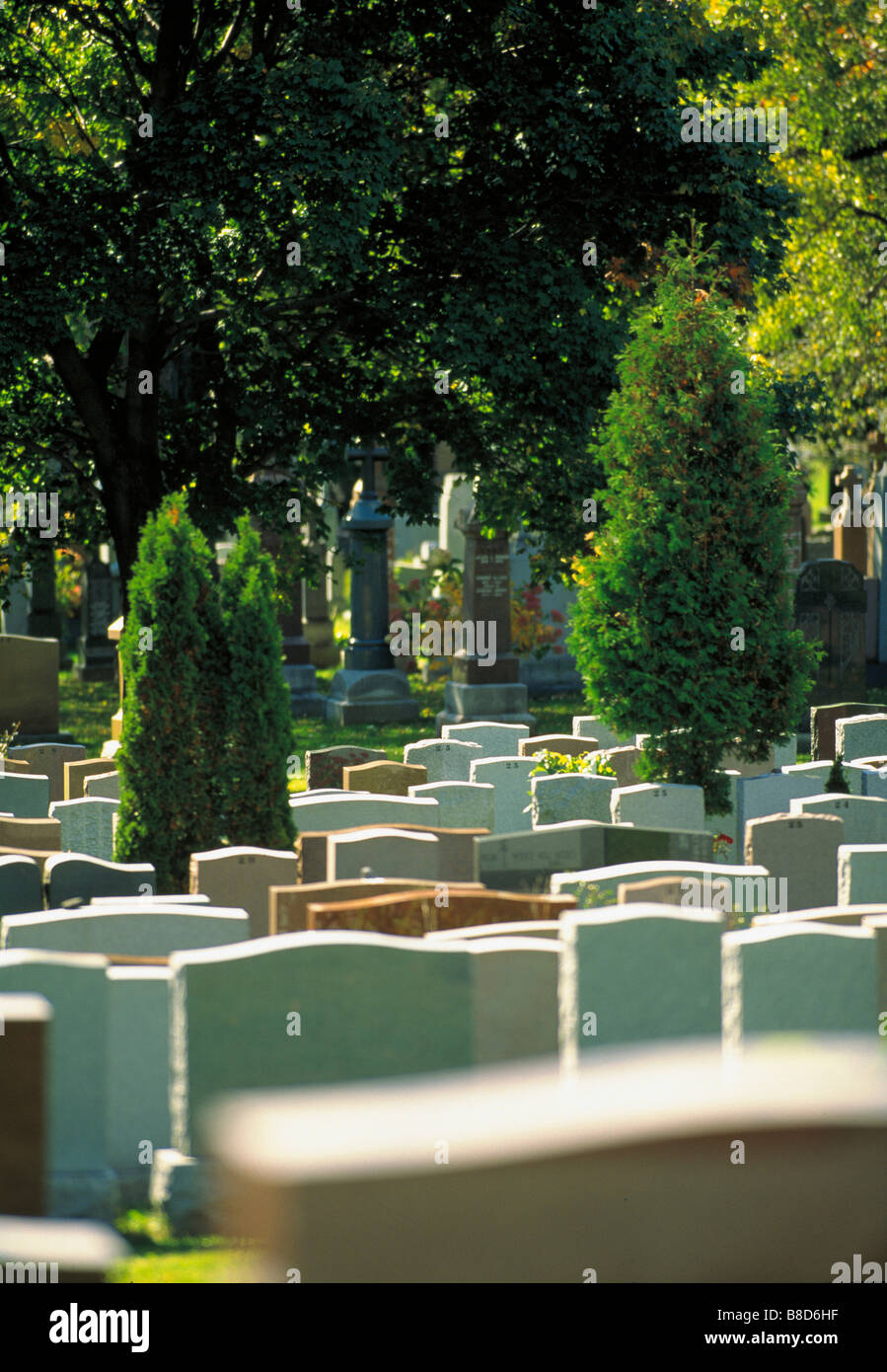 Mount Royal Cemetery, Montreal, Quebec Stock Photo - Alamy
