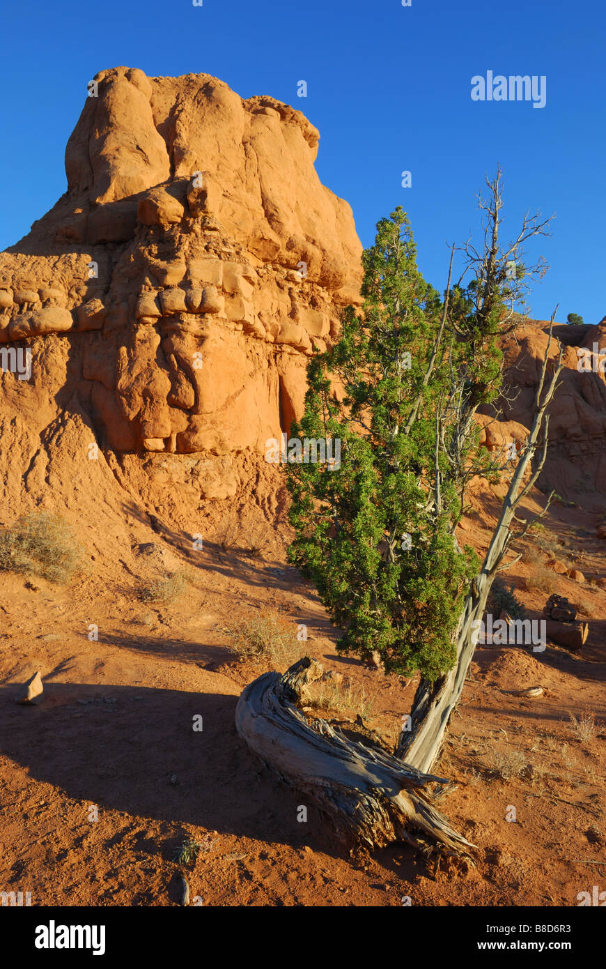 Sandstone formations at Kodachrome basin state park Utah Stock Photo ...
