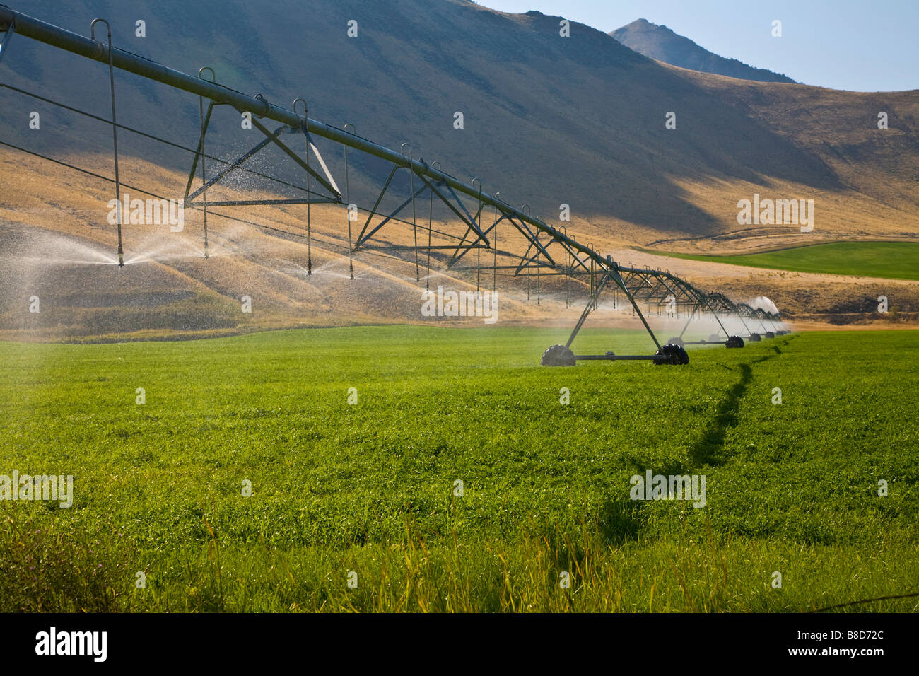 Green field and mountain Stock Photo - Alamy