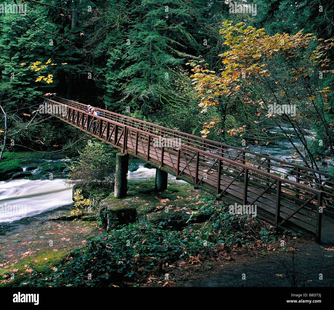 Bridge Lacamas Lake Trail, Washougal, Washington Stock Photo - Alamy