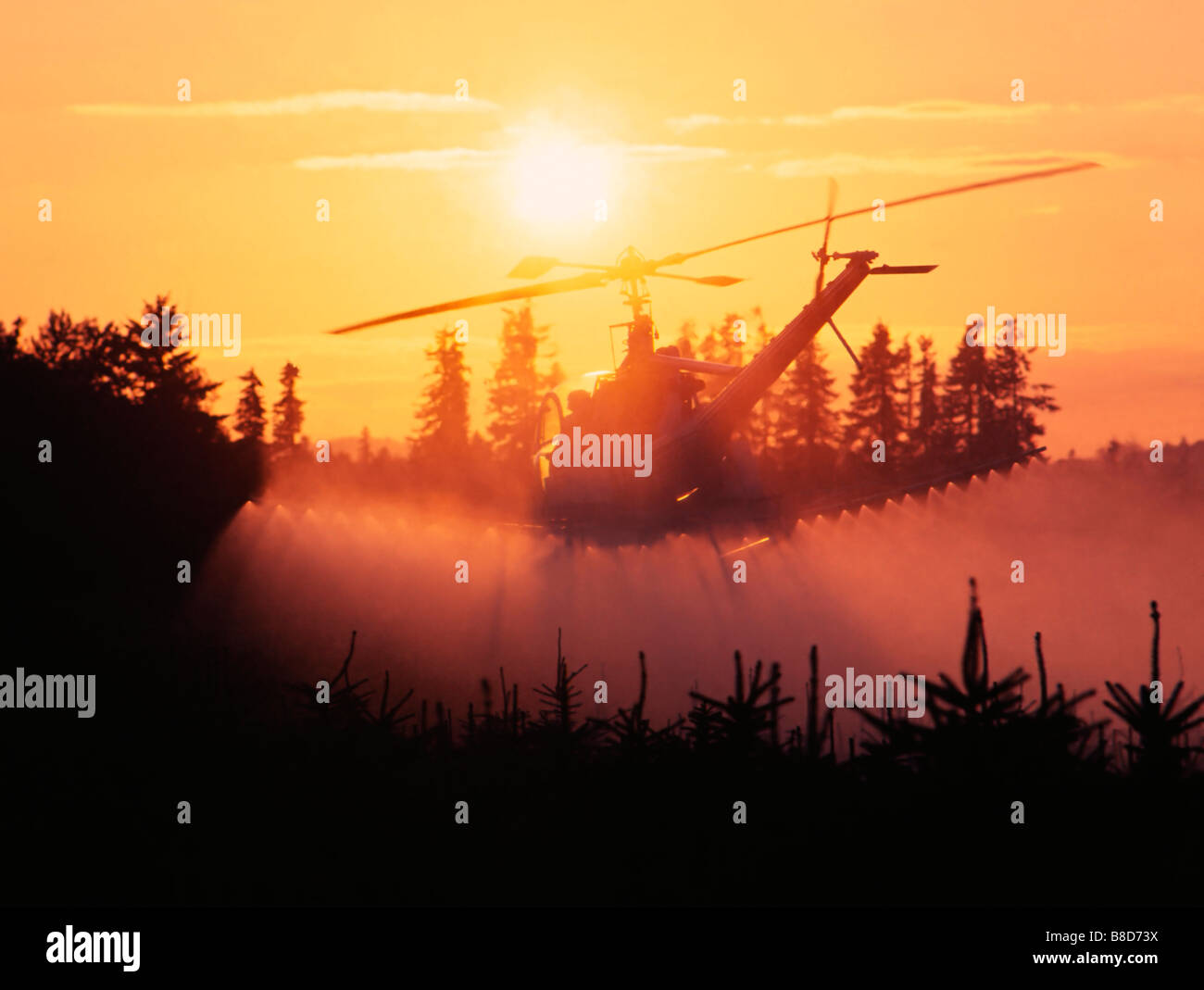 Helicopter Spraying Tree Farm, Boring, Oregon Stock Photo - Alamy