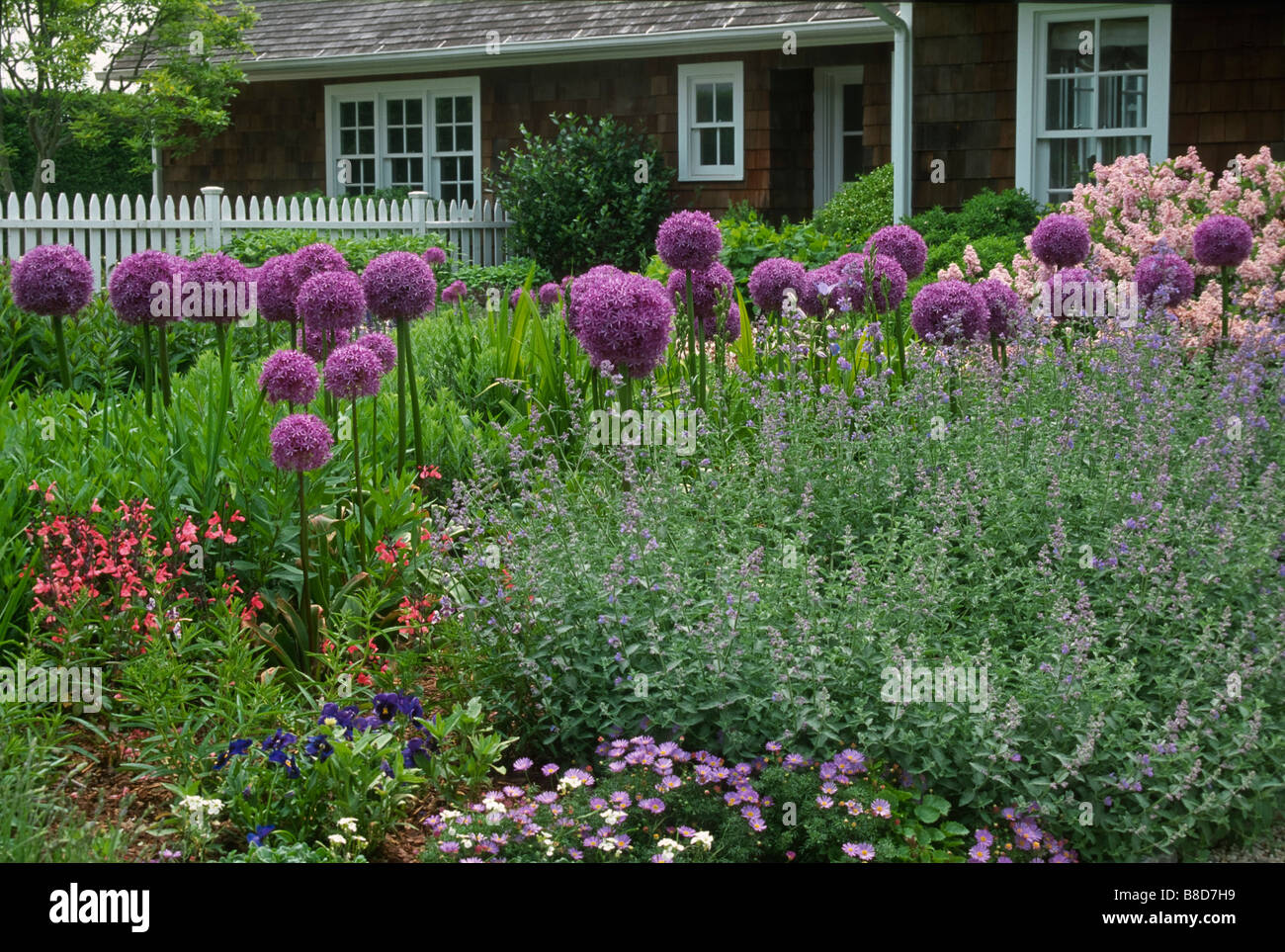 Cool Garden Color Combinations