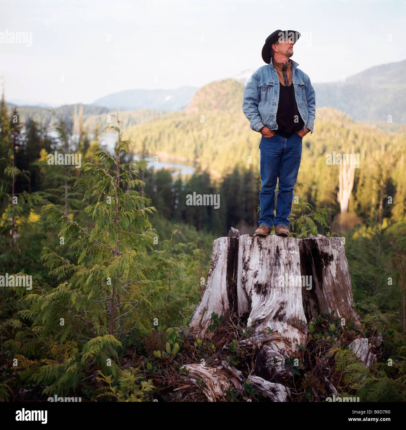Man standing large tree stump hi-res stock photography and images - Alamy