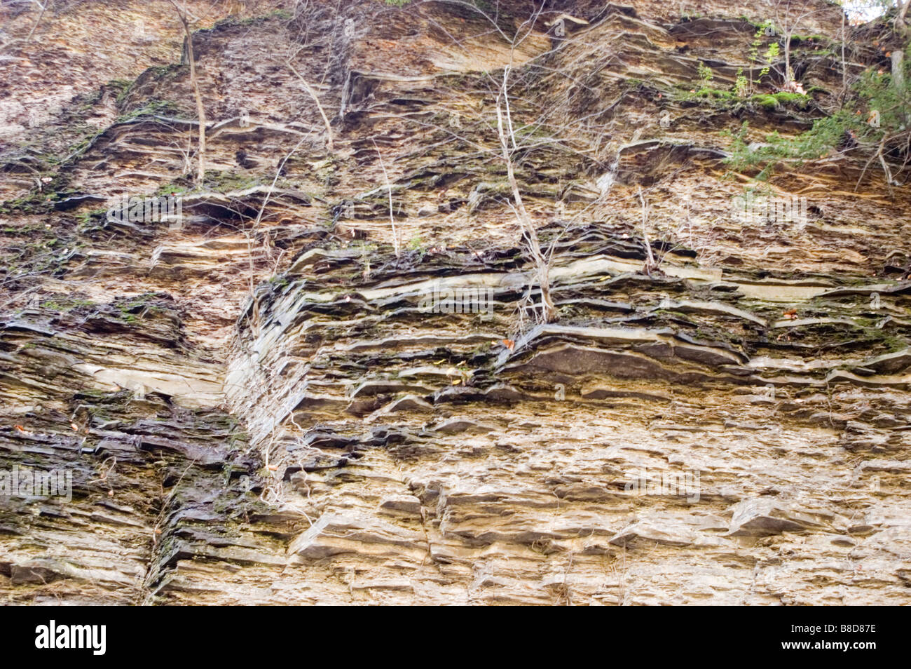 Ithaca fall gorge rock sedimental structure hi-res stock photography ...