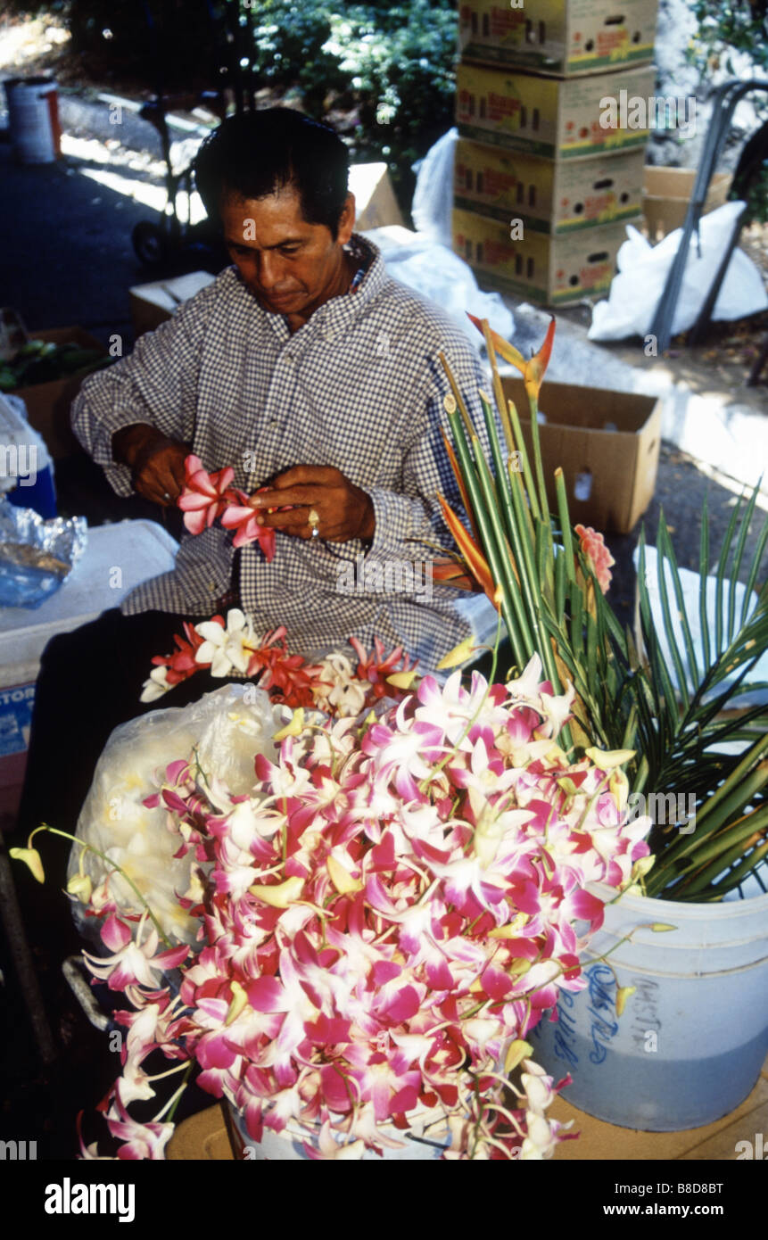 Flower for lei making hi-res stock photography and images - Alamy