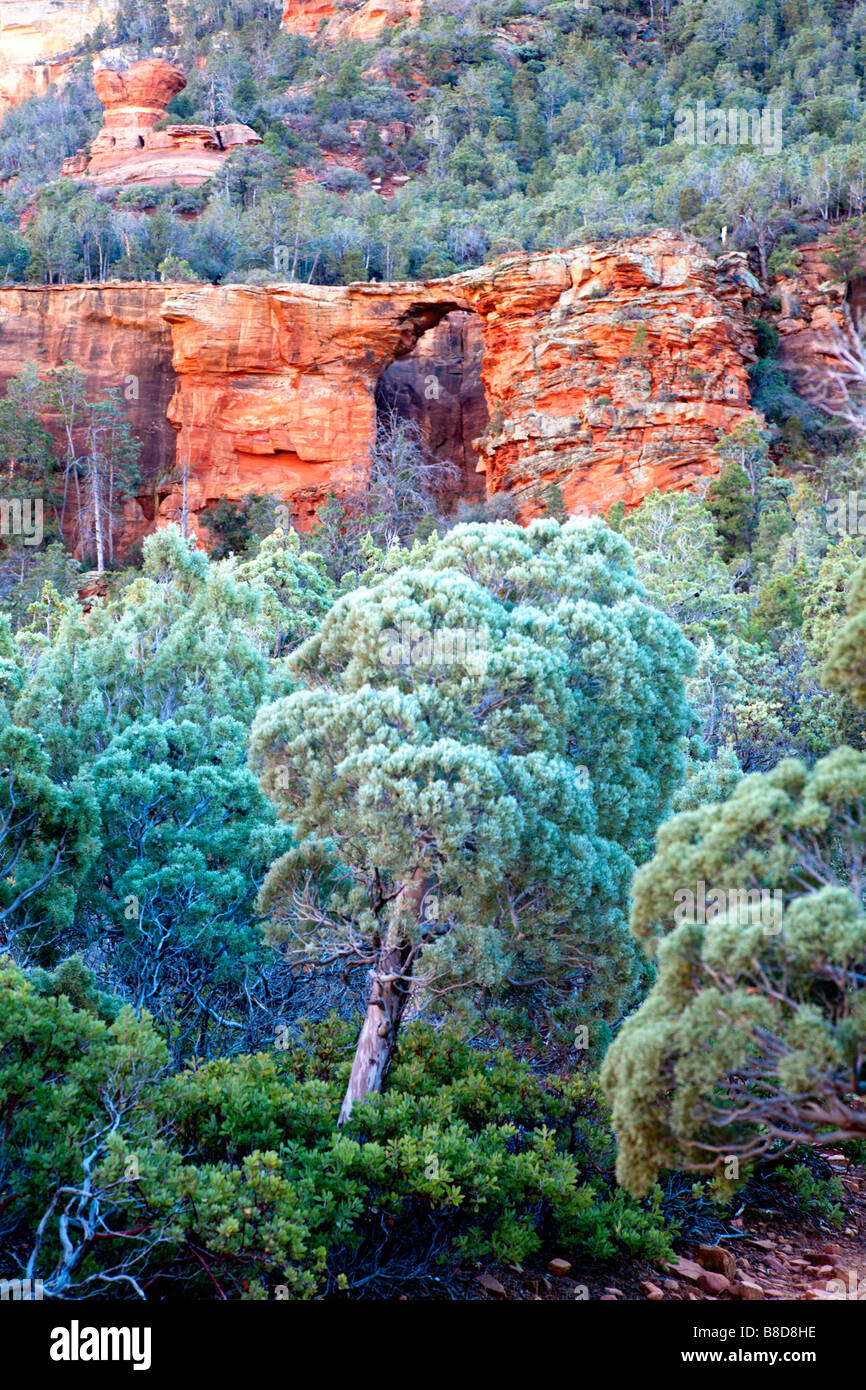 Devils bridge sedona arizona hi-res stock photography and images - Alamy