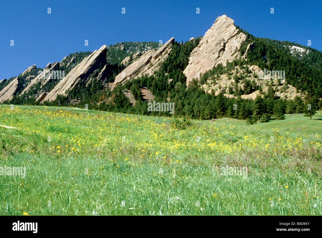 Long flat boulder hi-res stock photography and images - Alamy