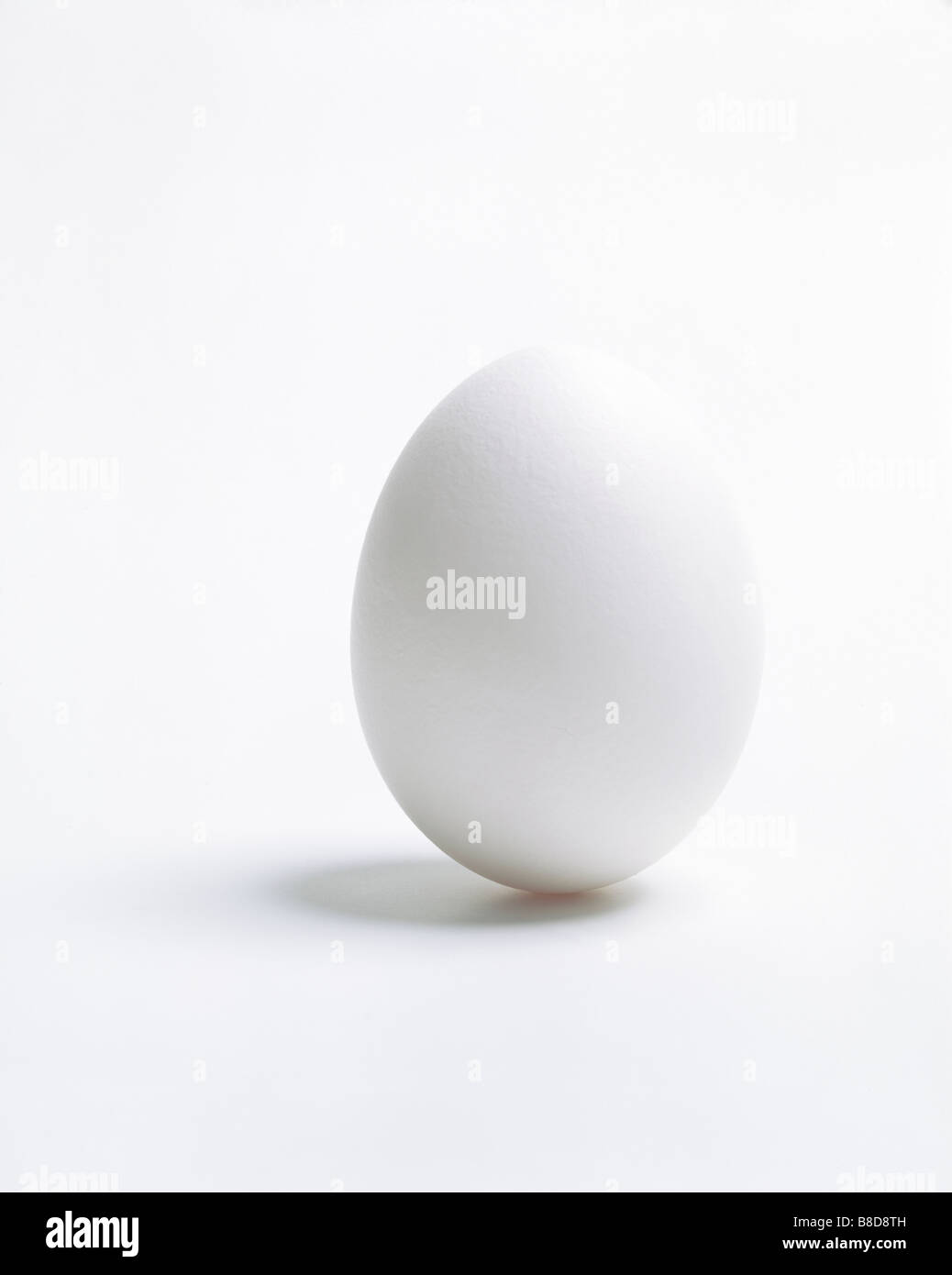 Egg White background Stock Photo - Alamy