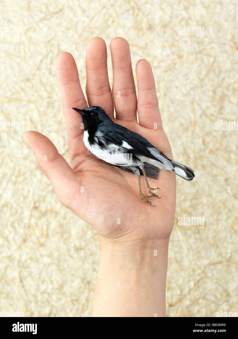 Dead hand hi-res stock photography and images - Alamy