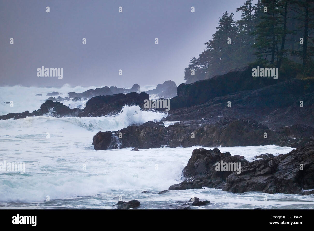 West coast of Vancouver Island, storm watching on Vancouver Island ...