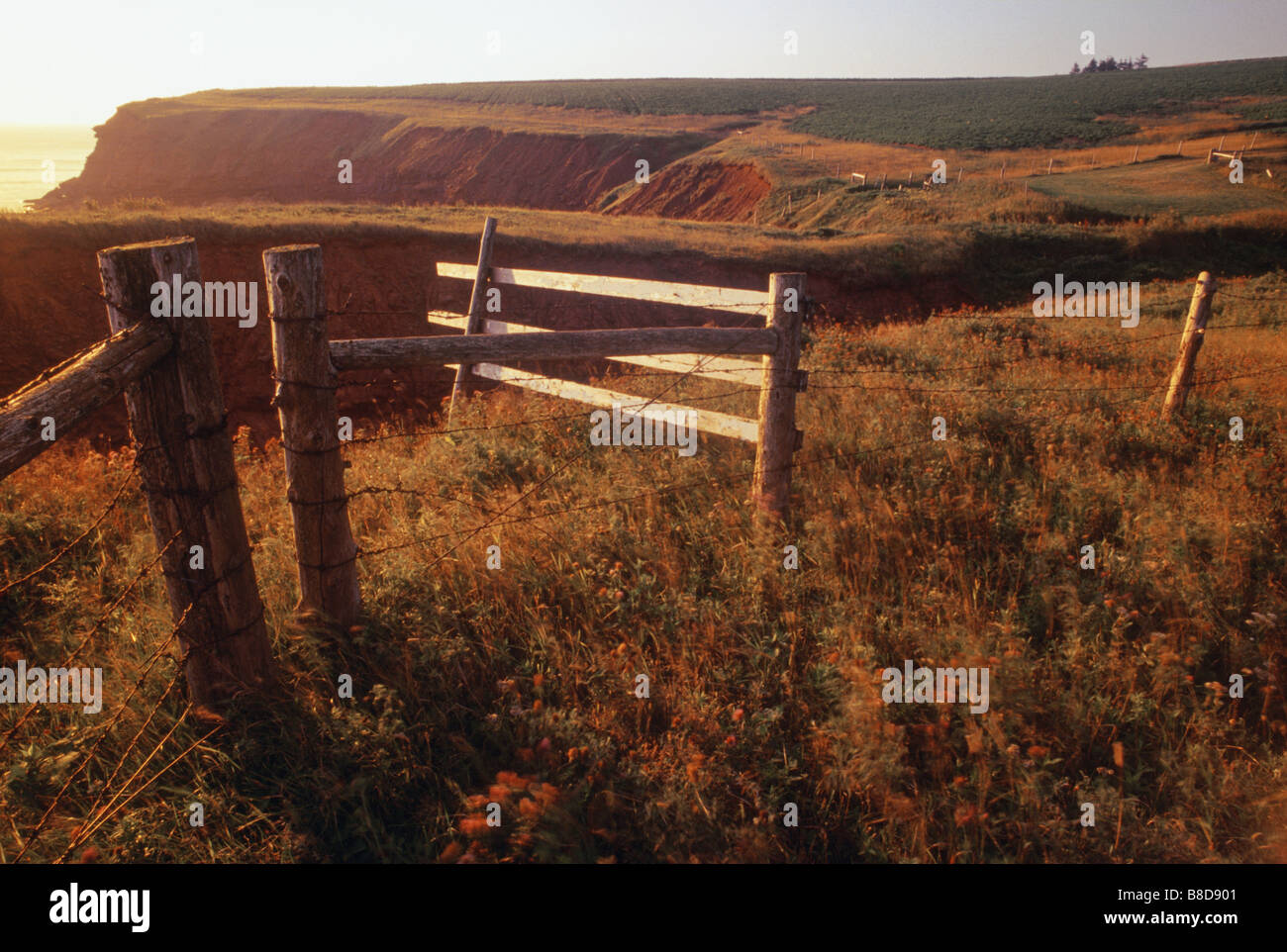 Cape tryon hi-res stock photography and images - Alamy