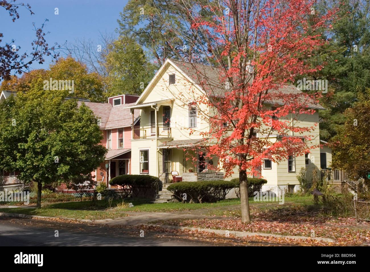 White residential house with autumn foliages trees in ithaca hi-res ...