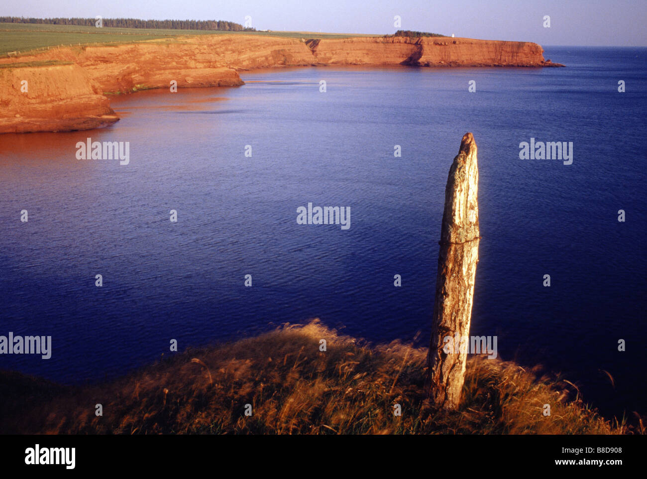 Cape tryon hi-res stock photography and images - Alamy