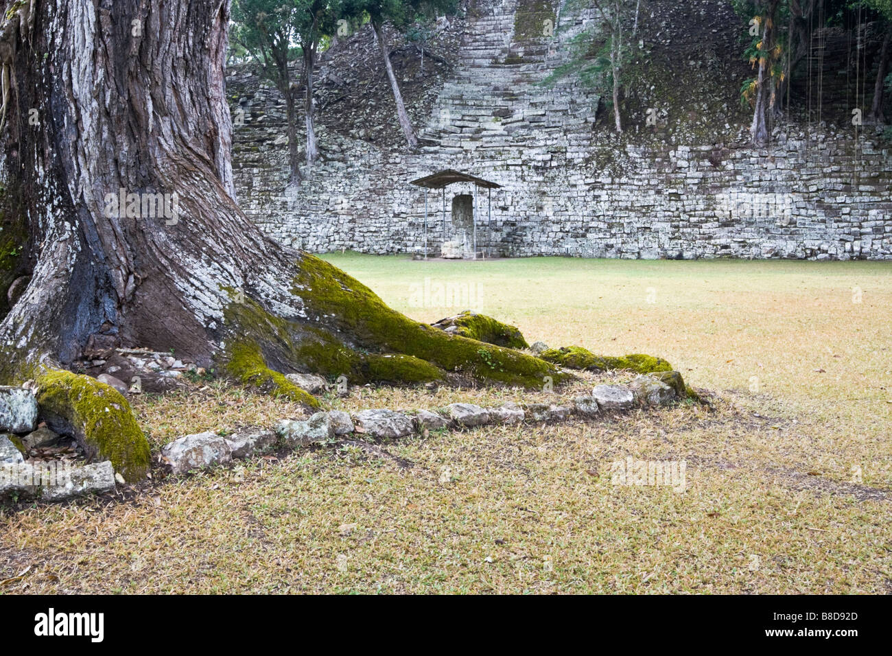 Copan honduras mayan hi-res stock photography and images - Alamy