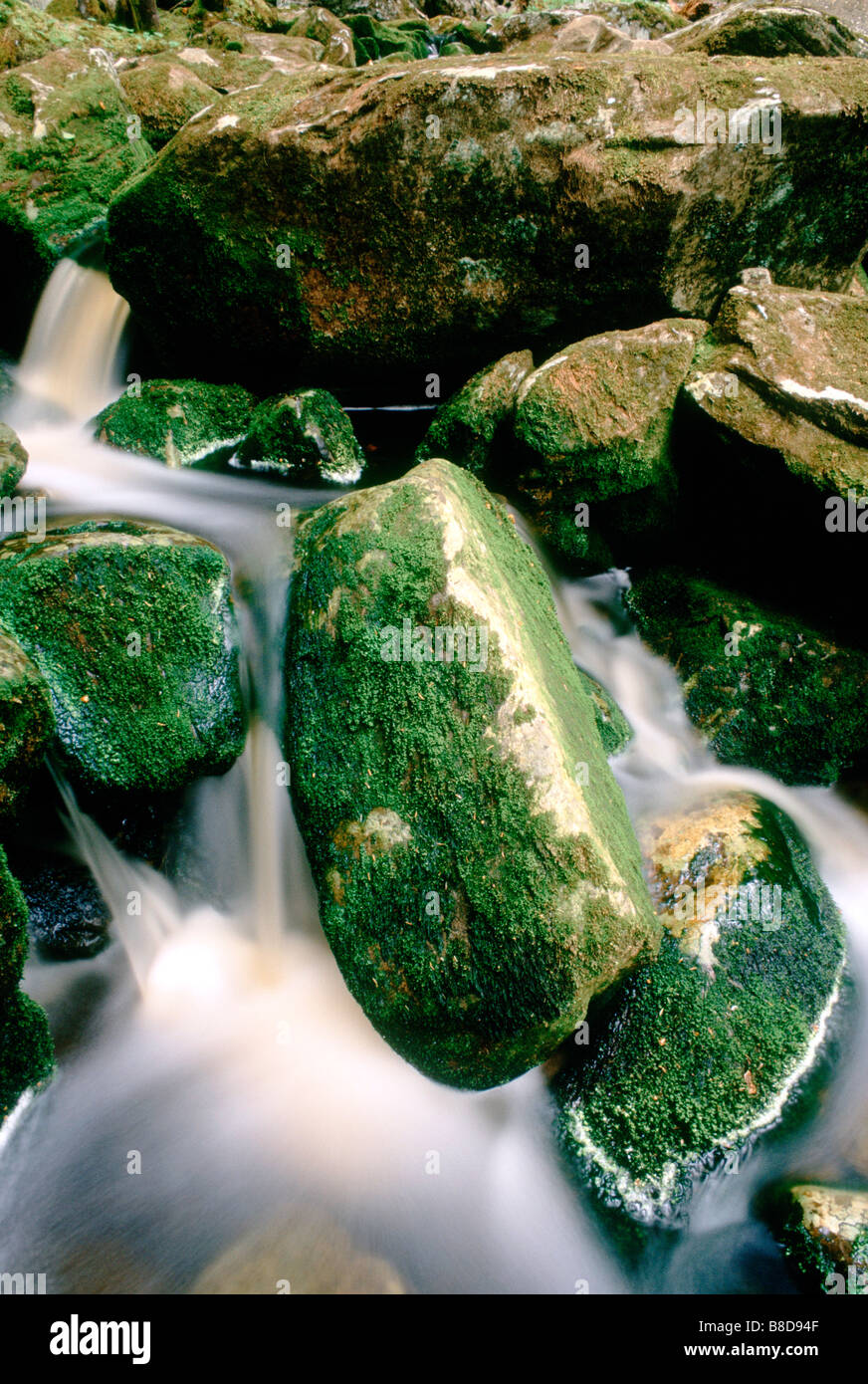 Mossy Rocks Brook, Long Lake, Nova Scotia Stock Photo - Alamy