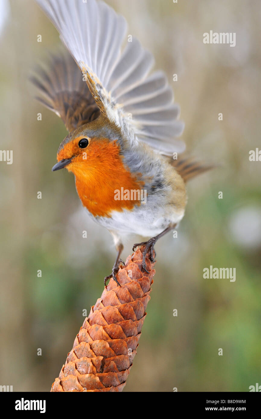 The dynamic movement hi-res stock photography and images - Alamy