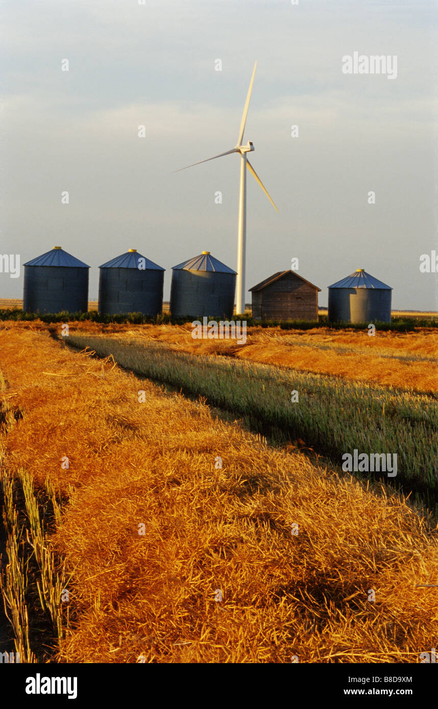 Wind Turbine Grain Bins, St Leon, Manitoba Stock Photo - Alamy