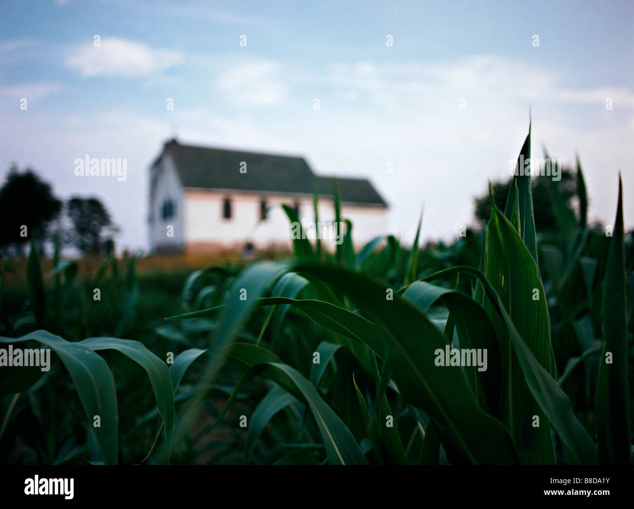 Prince edward county hillier hi-res stock photography and images - Alamy
