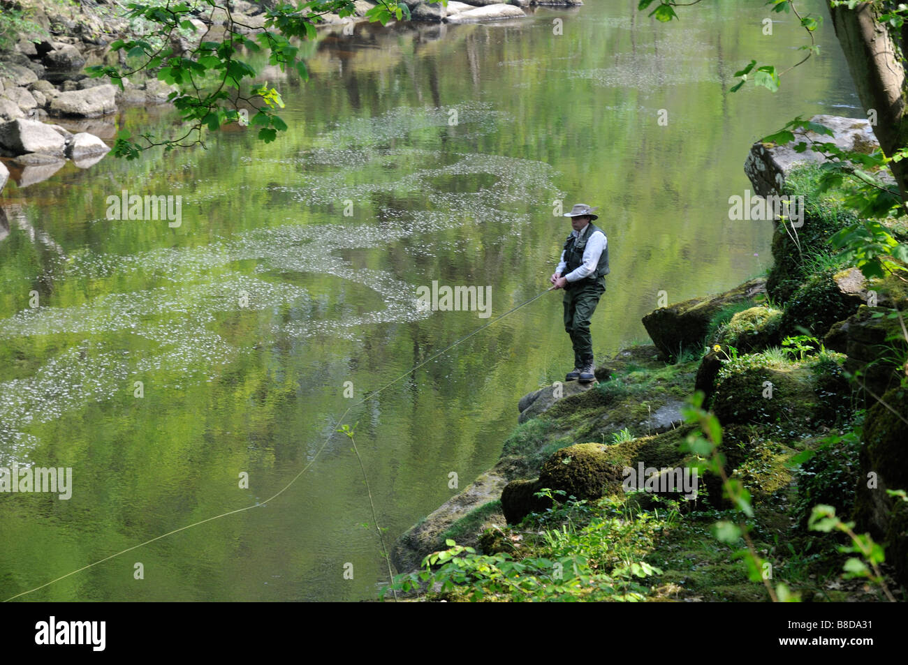 Fly Fishing for Trout in the beautiful valley of the River Wharfe at ...