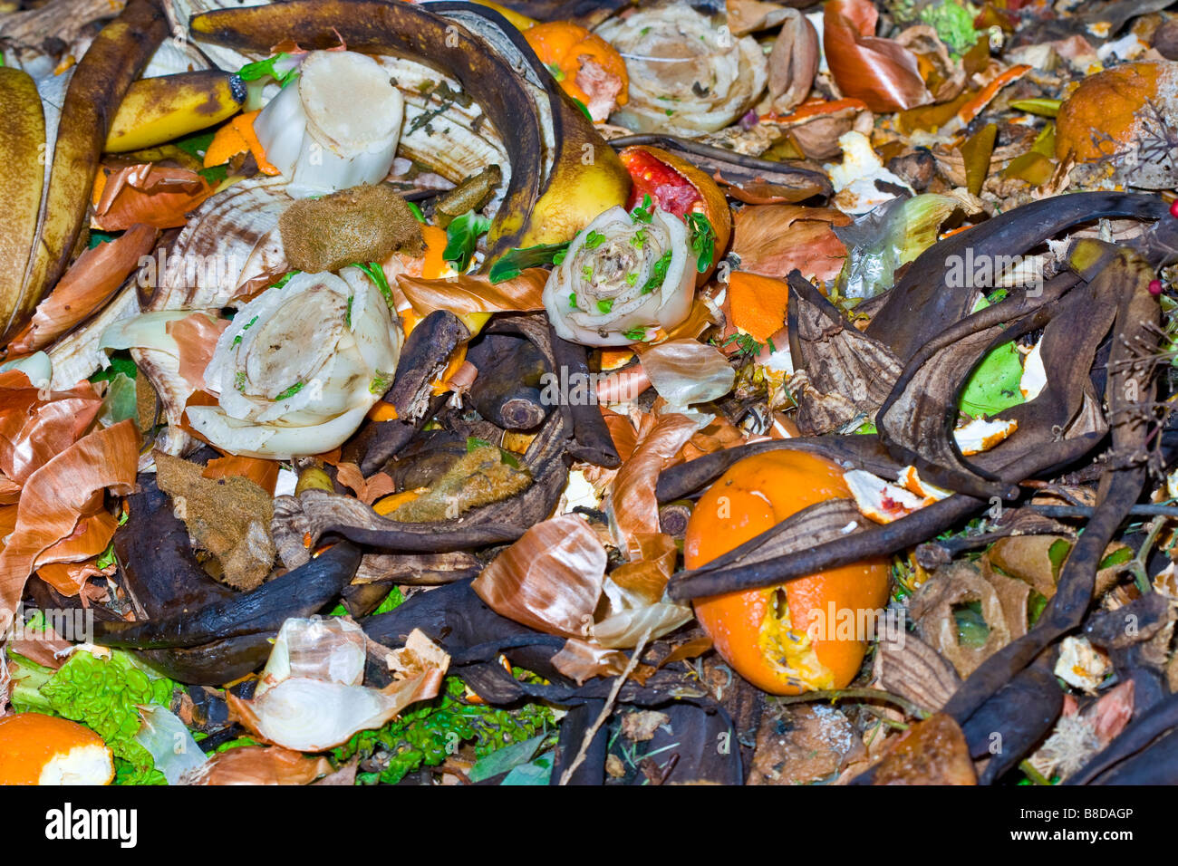 natural garbage fine close up of different vegetable waste Stock Photo ...