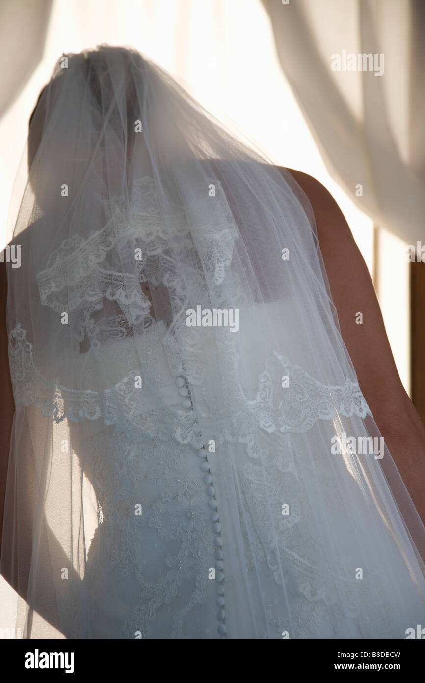 Back view of bride wearing veil Stock Photo - Alamy
