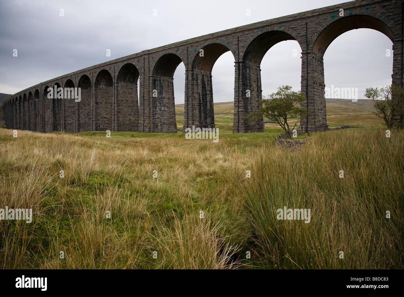 Ribblehead Viaduct, River Ribble, Yorkshire Dales, Yorkshire, England ...