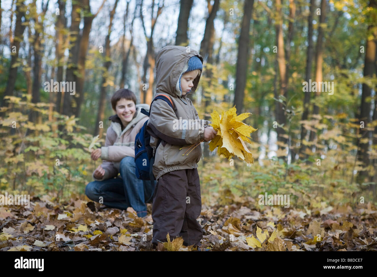 Teen collecting tree leaves hi-res stock photography and images - Alamy