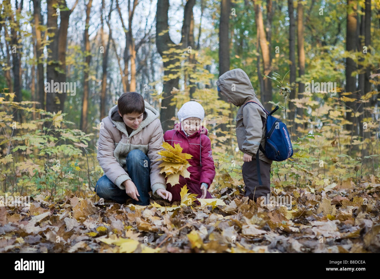 Mother collecting leaves with children in park Stock Photo - Alamy