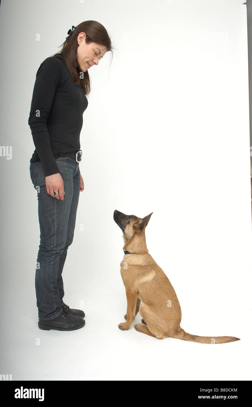 Dog sitting side view studio shot hi-res stock photography and images ...