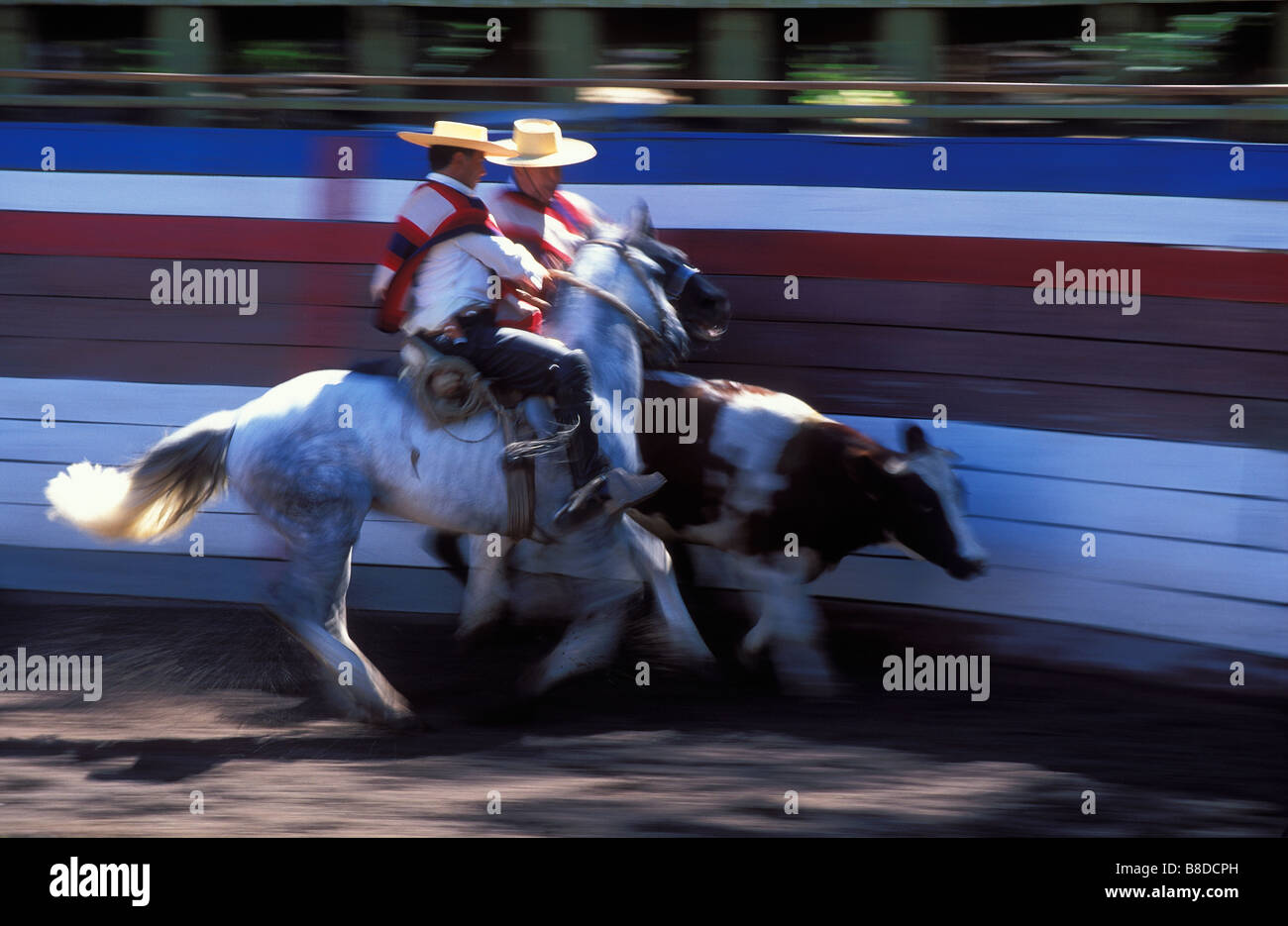 Rodeo bravery hi-res stock photography and images - Alamy