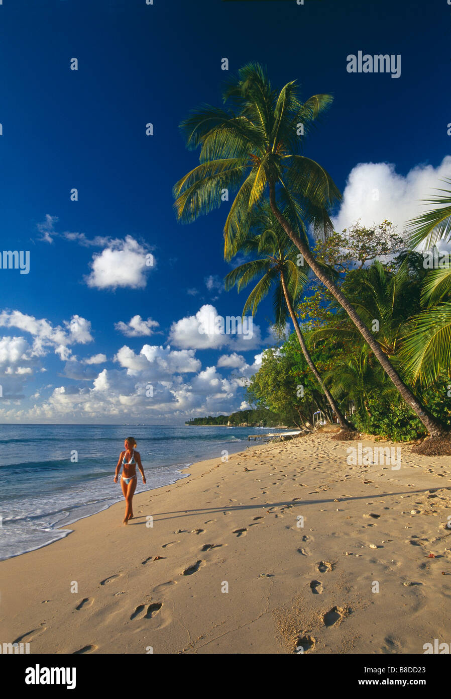 beach at Mullins Bay, West Coast, Barbados Stock Photo - Alamy