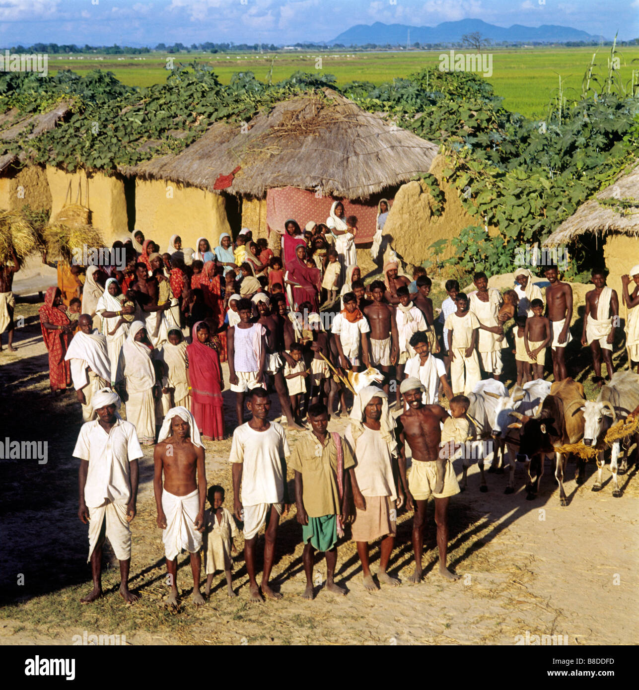 Poverty bihar hi-res stock photography and images - Alamy