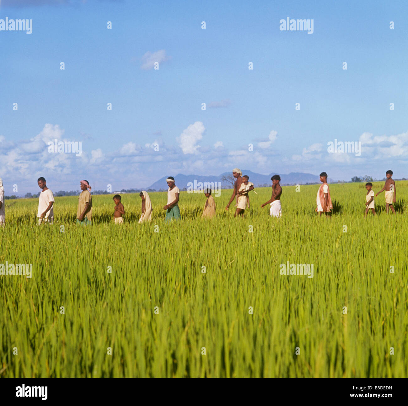 India co operativefarmingensures sha hi-res stock photography and ...