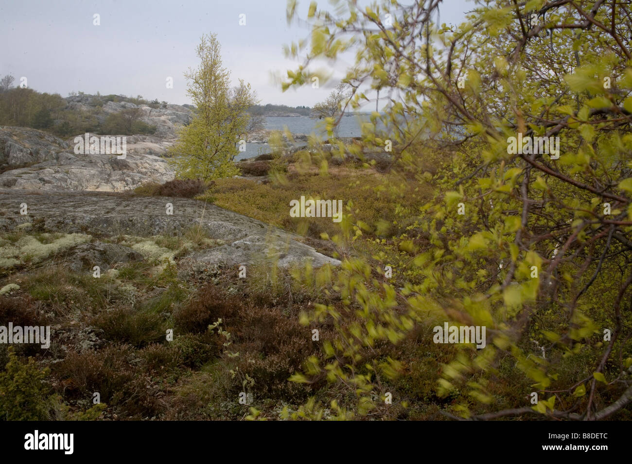 Morze baltyckie baltic sea hi-res stock photography and images - Alamy